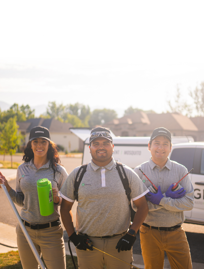 Greenix Pest Control Brings Unmatched Expertise and Guaranteed Relief ...