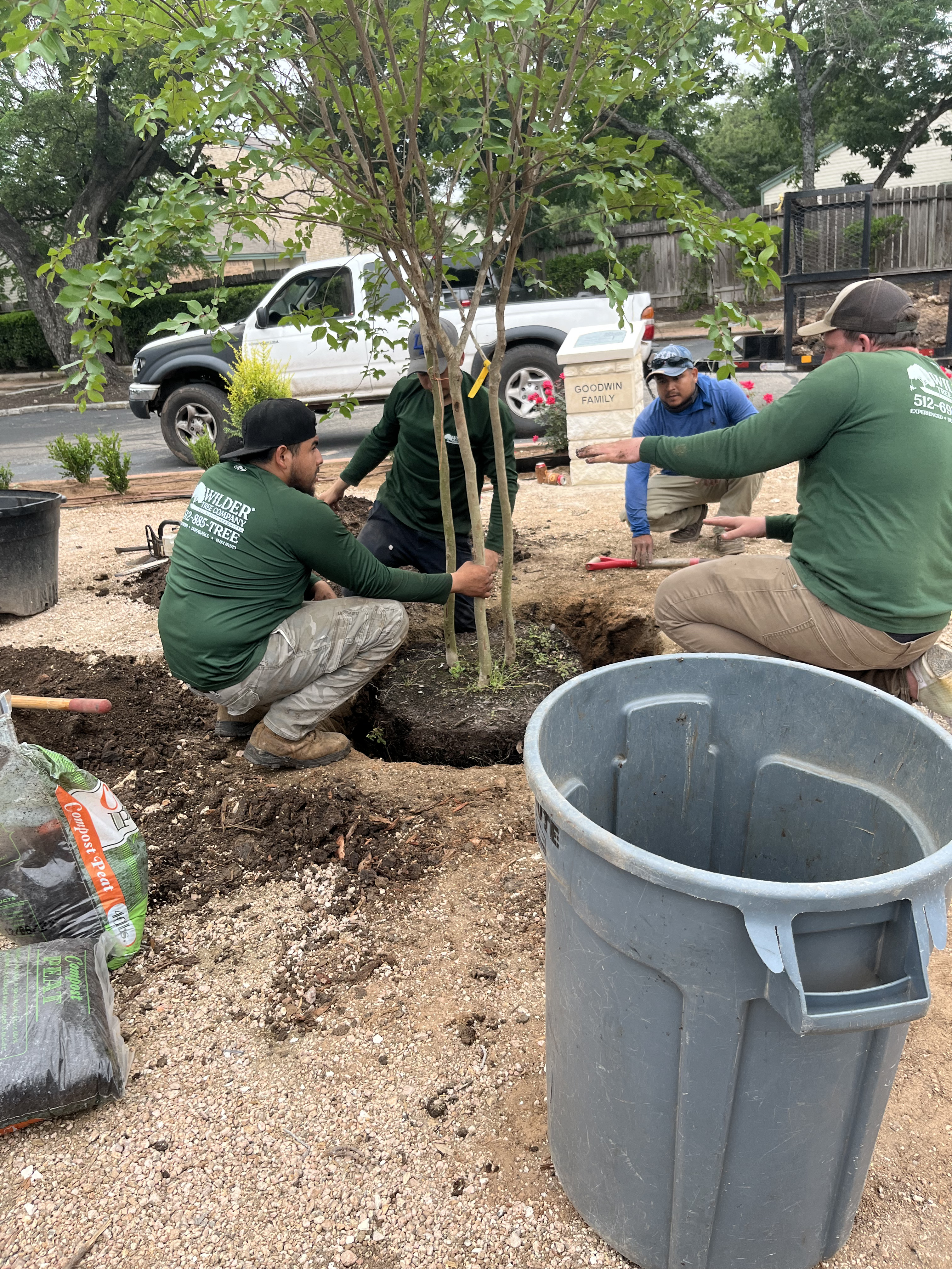 FinancialContent - Certified Arborists in Austin, TX, Wilder Tree ...