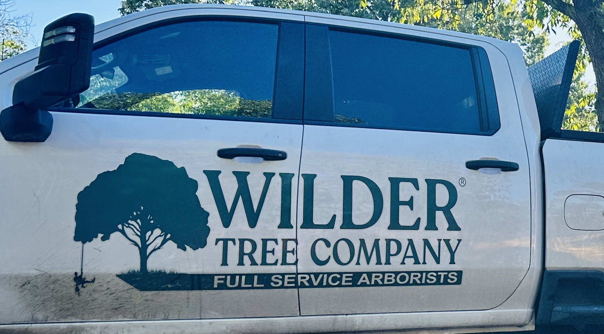 Certified Arborists in Austin, TX, Wilder Tree Company, Introduces ...