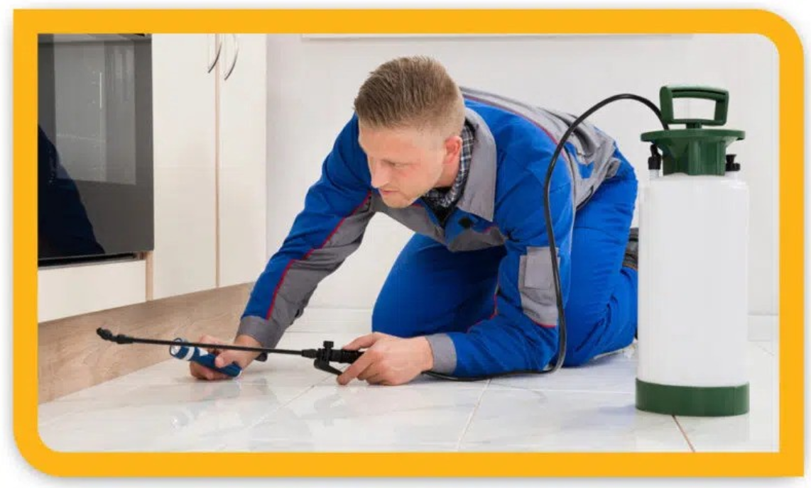 Heath, TX's Premier Eco-Friendly Pest Control Services: The CanMan's ...